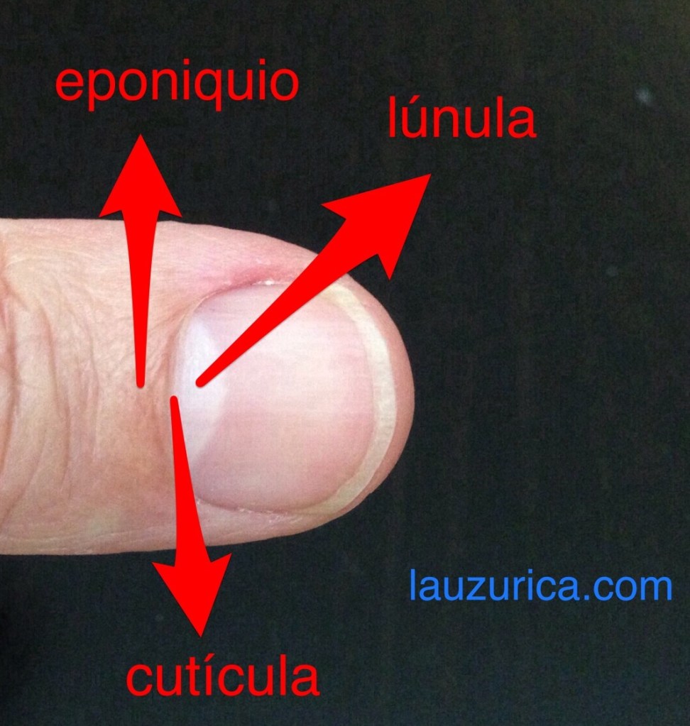 Pitting ungueal… la uña picada da pistas | Cuaderno en piel